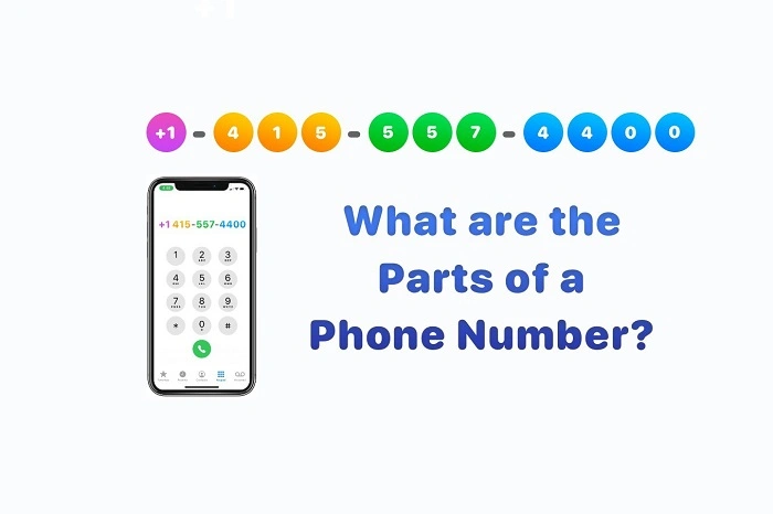 How to Know What Network Is the Number and Why Prefixes are Important